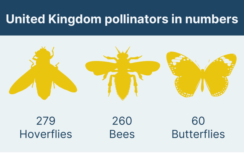 Pollinator Academy
